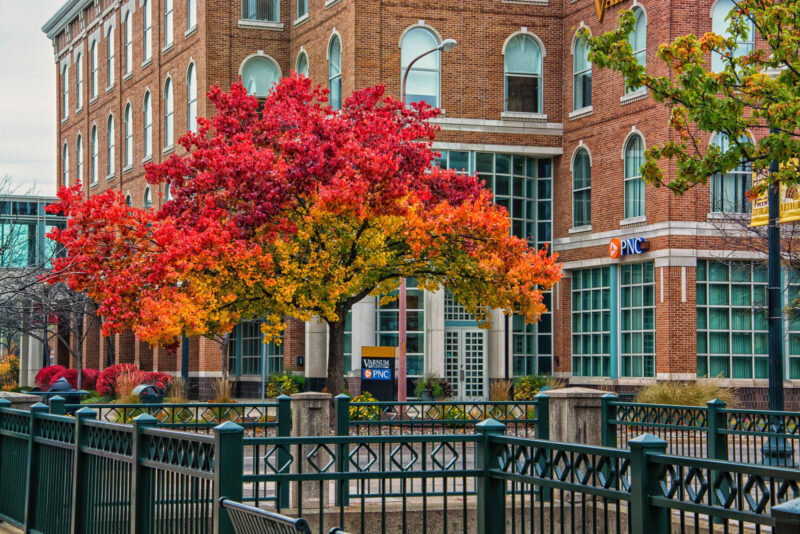 Then & Now: The Arcadia Buildings
